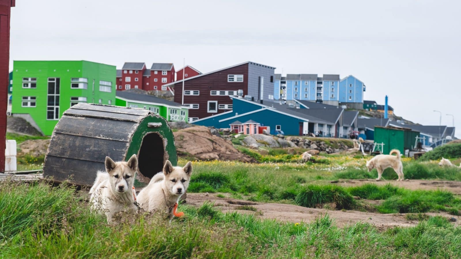 Experience World Heritage Site Aasivissuit – Nipisat | Inuit Hunting